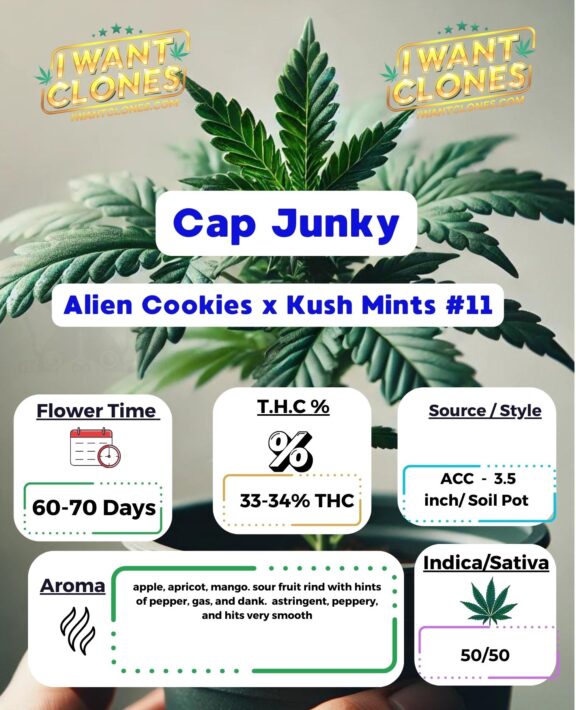 ACC – Cap Junky Clones - I Want Clones